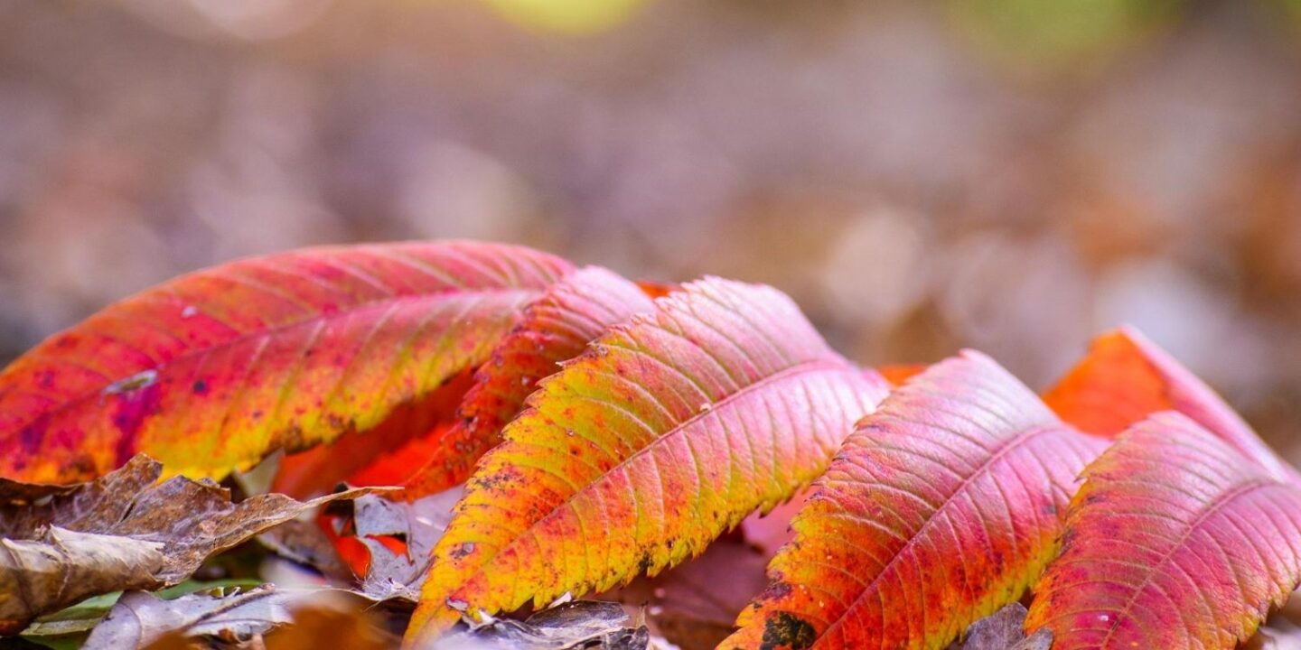 October 17: Facts & Historical Events On This Day - The Fact Site