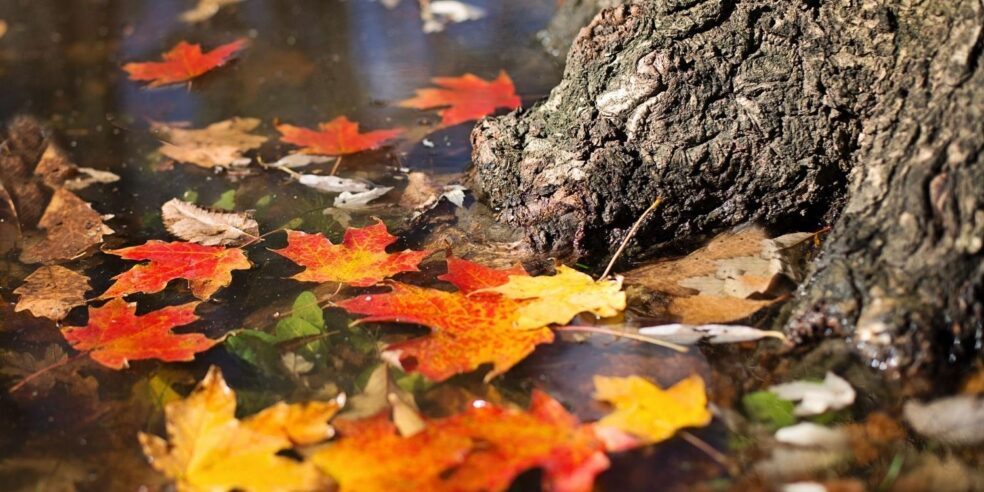 October 18: Facts & Historical Events On This Day - The Fact Site