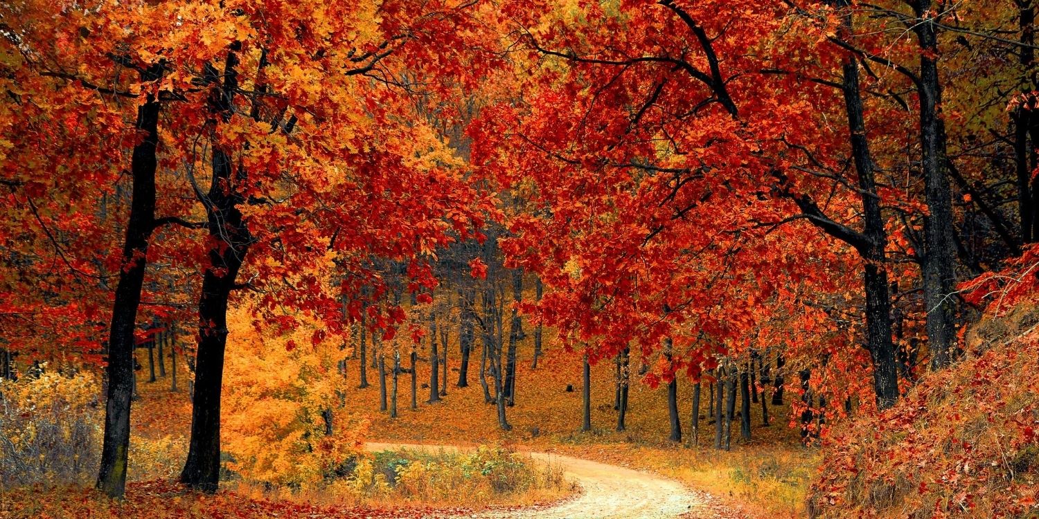 October 20: Facts & Historical Events On This Day - The Fact Site