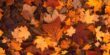 October 21: Facts & Historical Events On This Day - The Fact Site