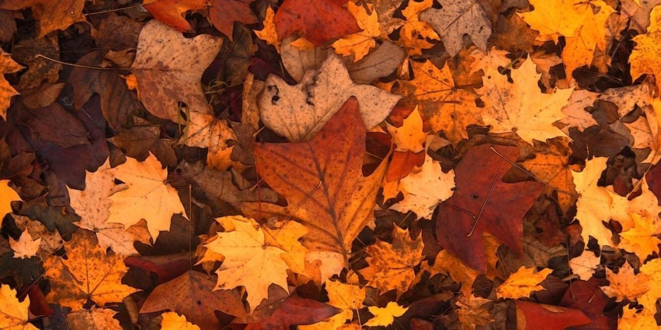 October 21: Facts & Historical Events On This Day - The Fact Site