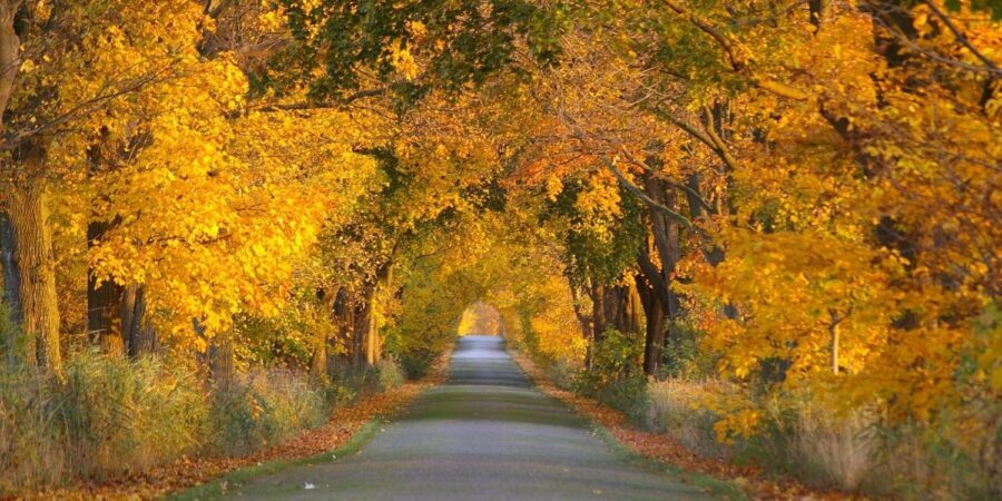 October 22: Facts & Historical Events On This Day - The Fact Site