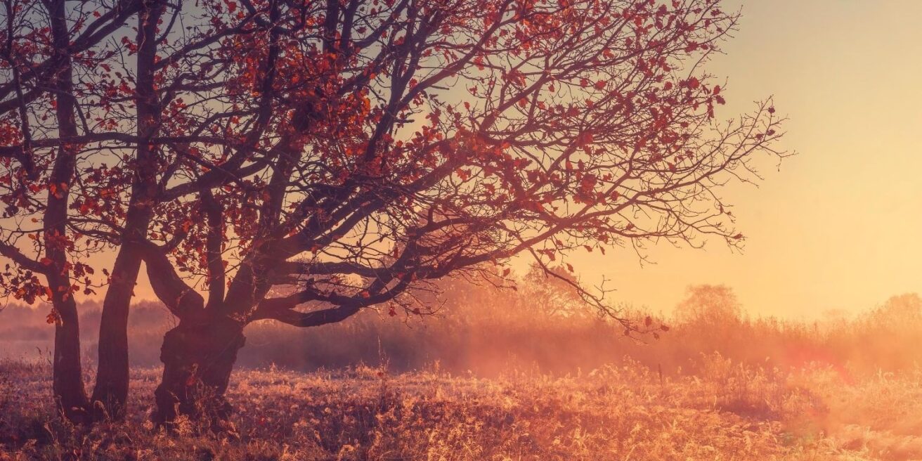 October 23: Facts & Historical Events On This Day - The Fact Site