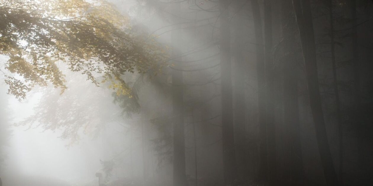 October 29: Facts & Historical Events On This Day - The Fact Site