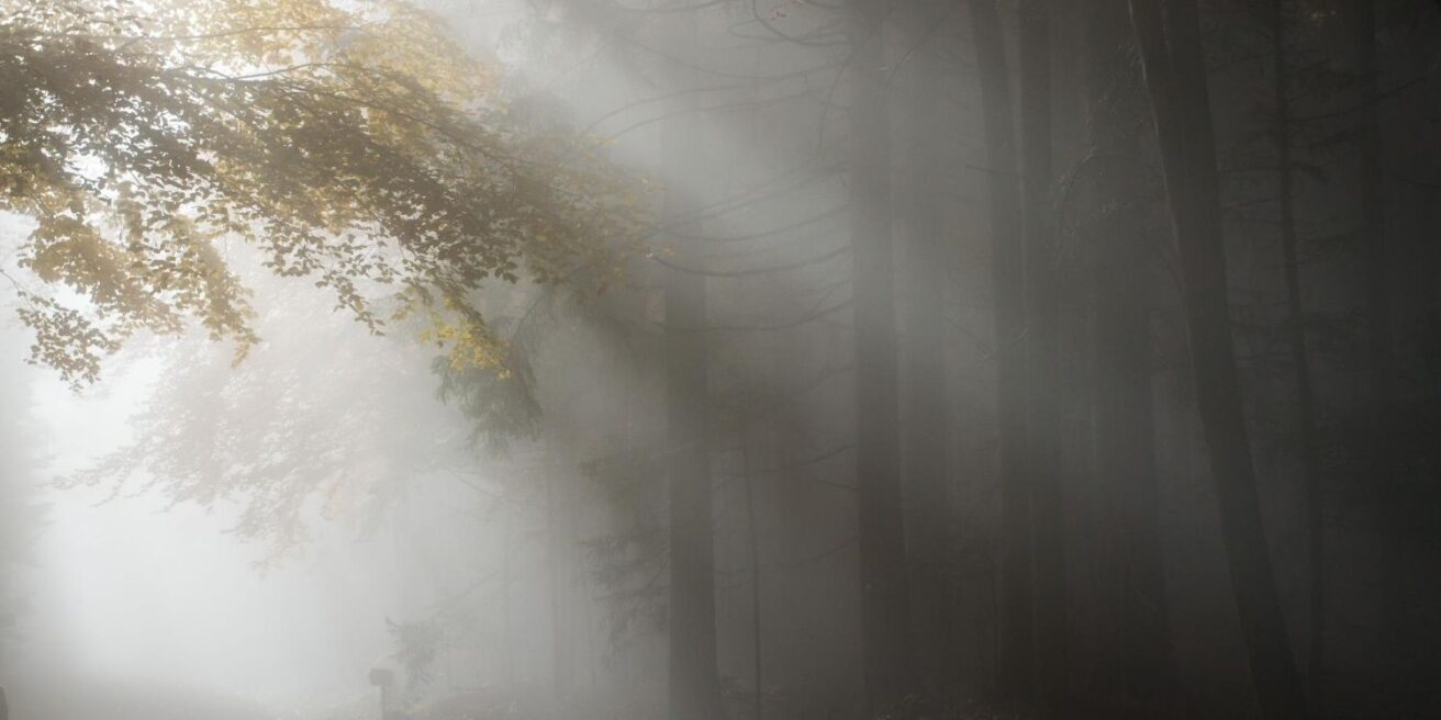 October 29: Facts & Historical Events On This Day - The Fact Site