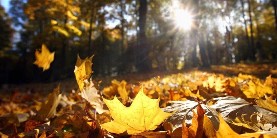 October 3: Facts & Historical Events On This Day - The Fact Site