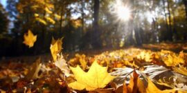 October 3: Facts & Historical Events On This Day - The Fact Site