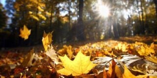 October 3: Facts & Historical Events On This Day - The Fact Site