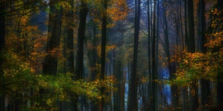 October 30: Facts & Historical Events On This Day - The Fact Site