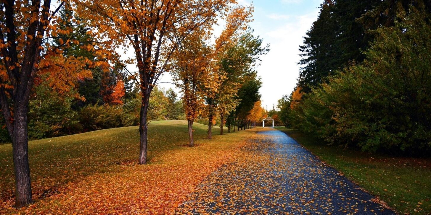 October 4: Facts & Historical Events On This Day - The Fact Site