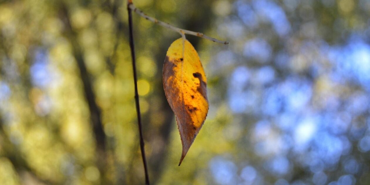 October 6: Facts & Historical Events On This Day - The Fact Site