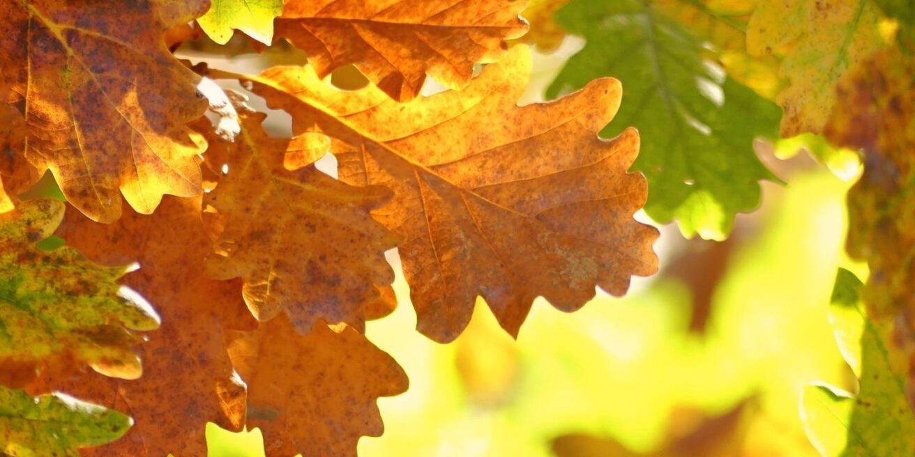 October 7: Facts & Historical Events On This Day - The Fact Site