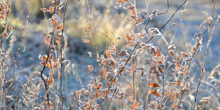 October 8: Facts & Historical Events On This Day - The Fact Site