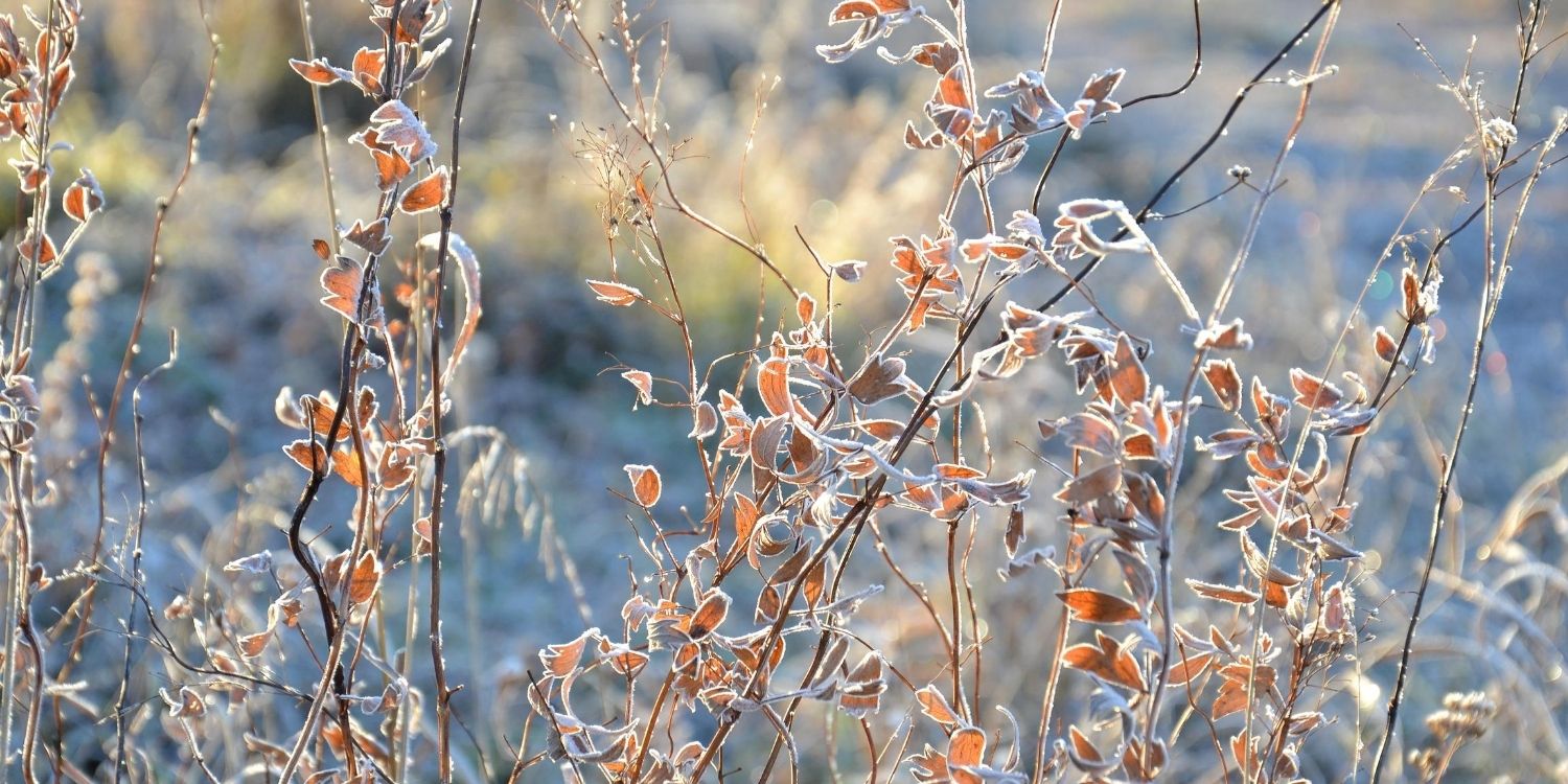 October 8: Facts & Historical Events On This Day - The Fact Site