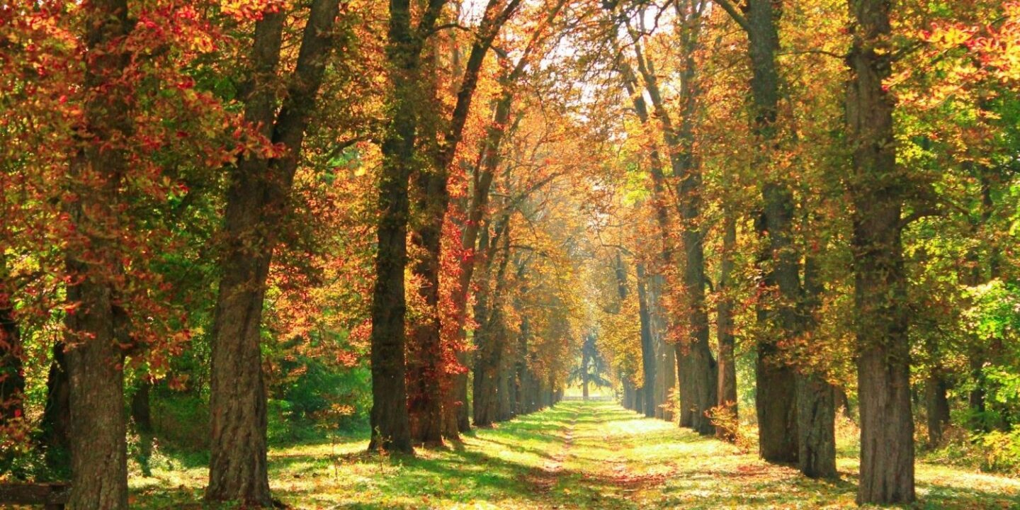 October 9: Facts & Historical Events On This Day - The Fact Site