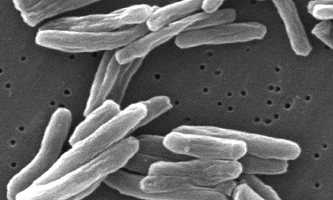 March 24: Facts & Historical Events On This Day - The Fact Site