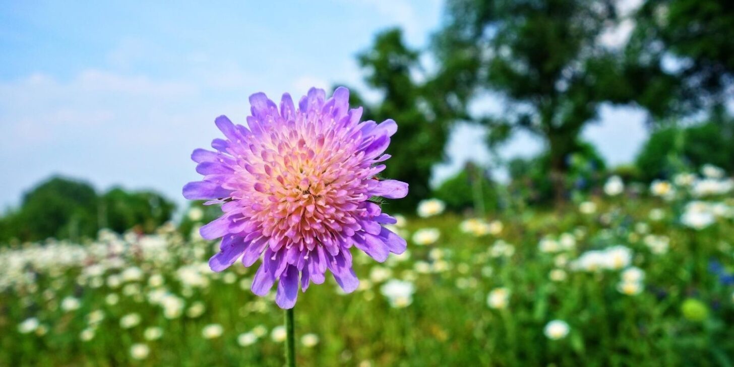 September 10: Facts & Historical Events On This Day - The Fact Site