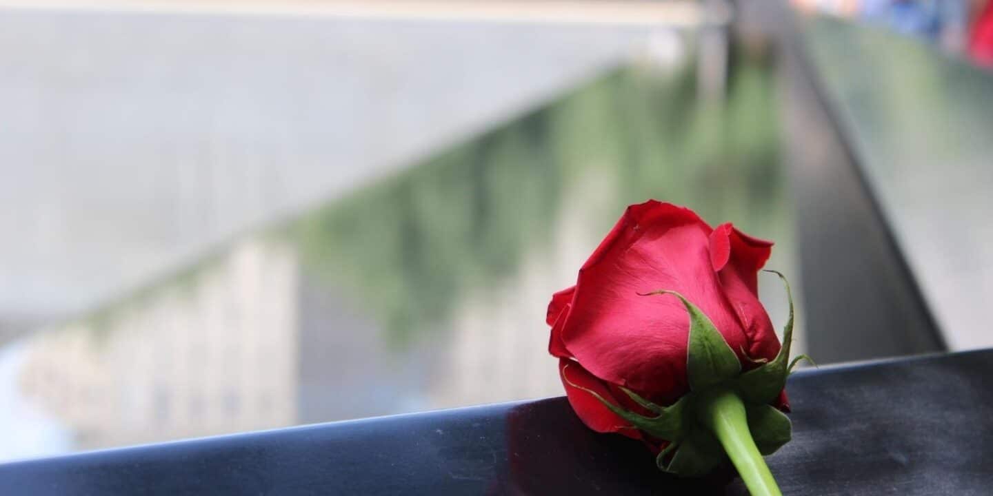 50 Humbling Facts About 9/11 - The Fact Site