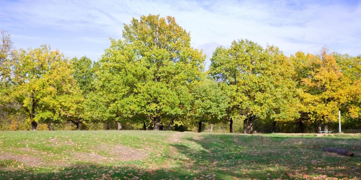 September 13: Facts & Historical Events On This Day - The Fact Site