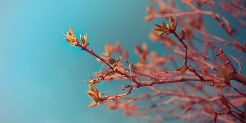 September 18: Facts & Historical Events On This Day - The Fact Site