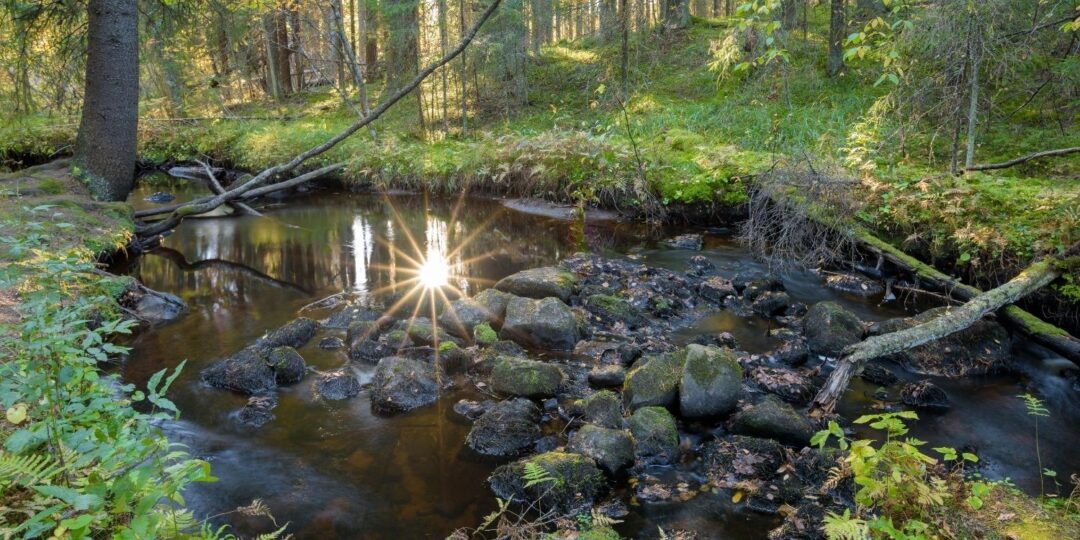 September 21: Facts & Historical Events On This Day - The Fact Site