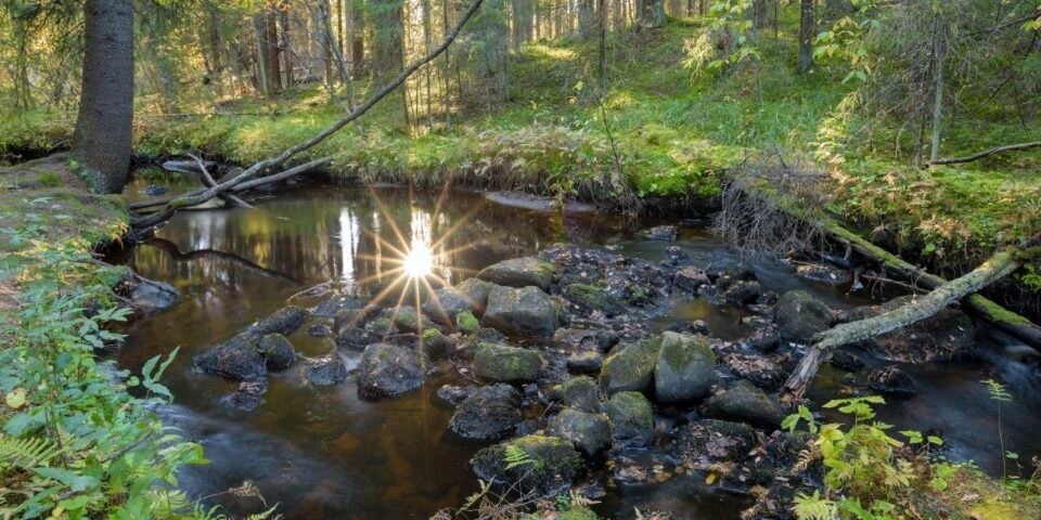 September 21: Facts & Historical Events On This Day - The Fact Site