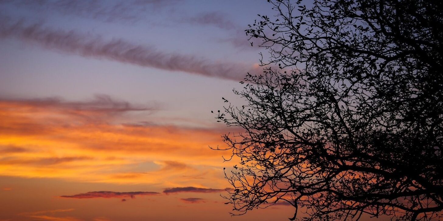 September 25: Facts & Historical Events On This Day - The Fact Site