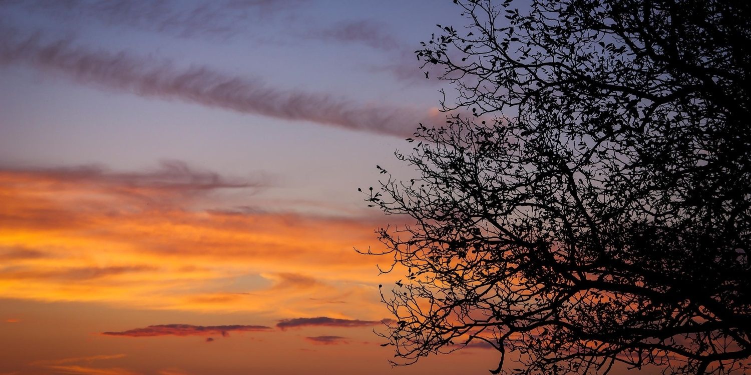 September 25: Facts & Historical Events On This Day - The Fact Site