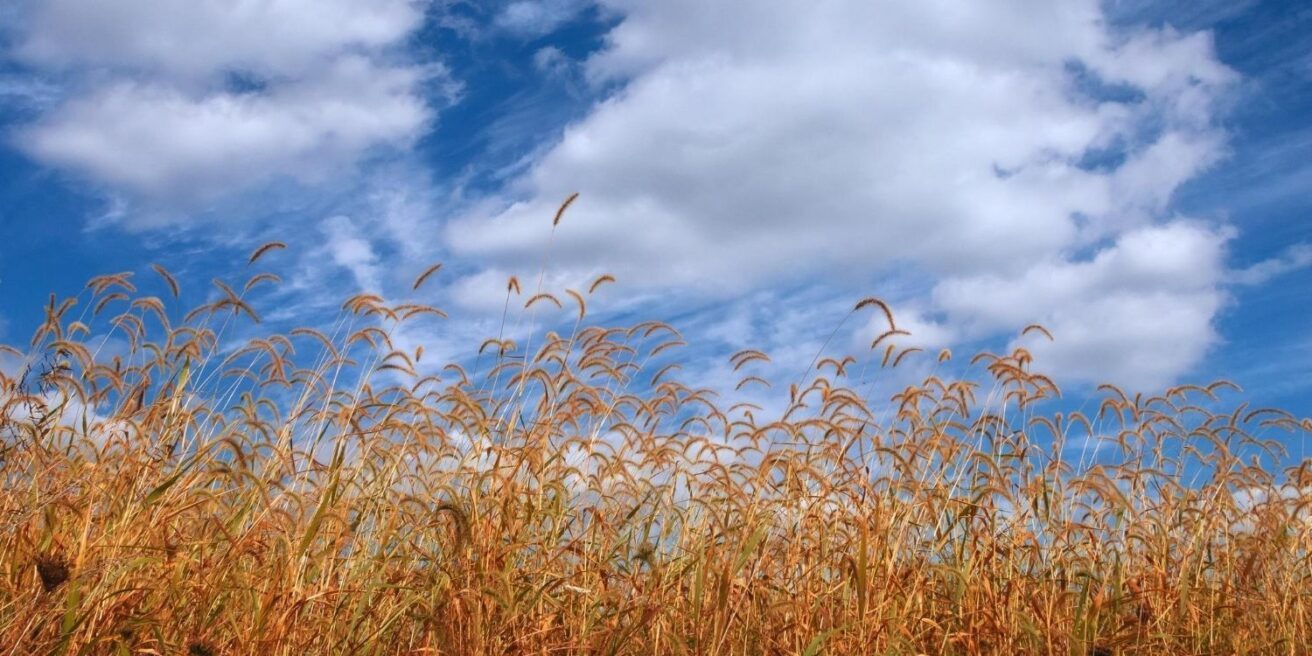 September 28: Facts & Historical Events On This Day - The Fact Site