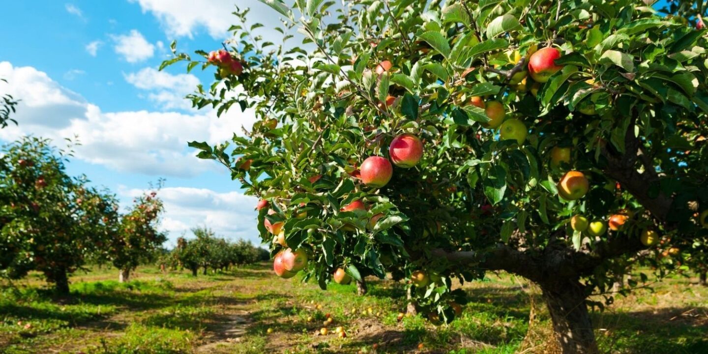 September 3: Facts & Historical Events On This Day - The Fact Site