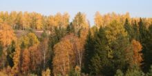September 30: Facts & Historical Events On This Day - The Fact Site