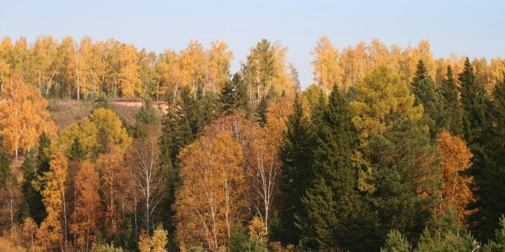 September 30: Facts & Historical Events On This Day - The Fact Site