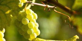 September 4: Facts & Historical Events On This Day - The Fact Site