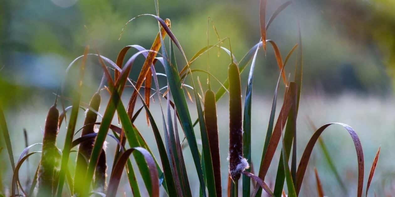 September 5: Facts & Historical Events On This Day - The Fact Site