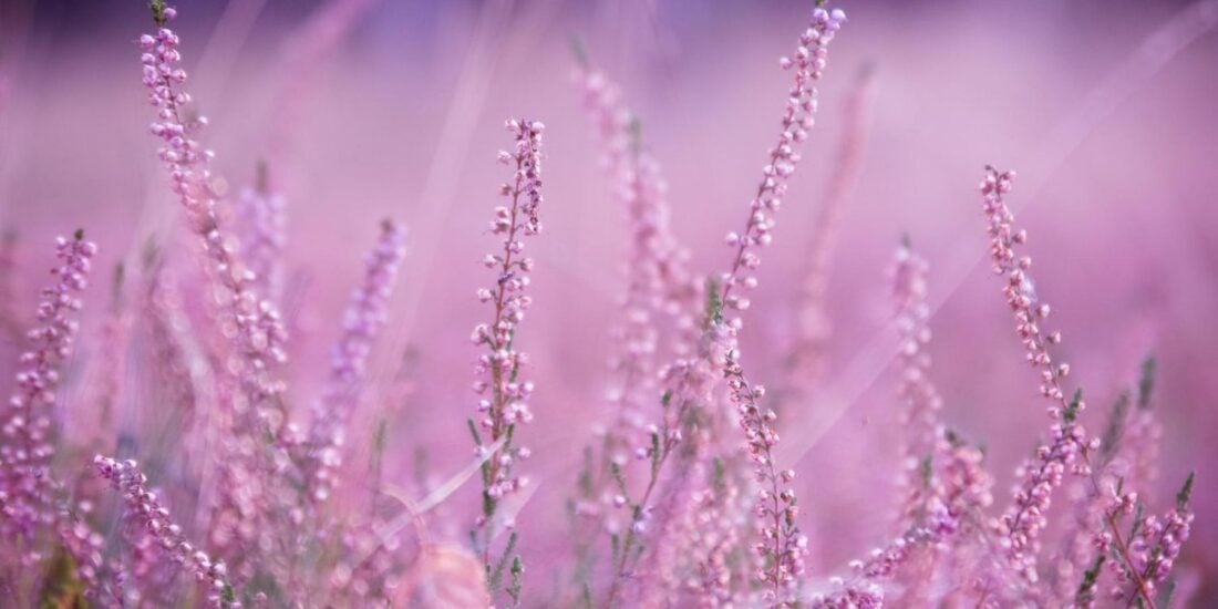 September 6: Facts & Historical Events On This Day - The Fact Site