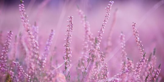 September 6: Facts & Historical Events On This Day - The Fact Site