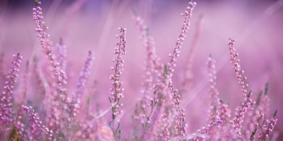 September 6: Facts & Historical Events On This Day - The Fact Site