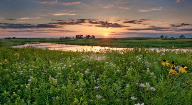 15 Impressive Facts About Illinois - The Fact Site