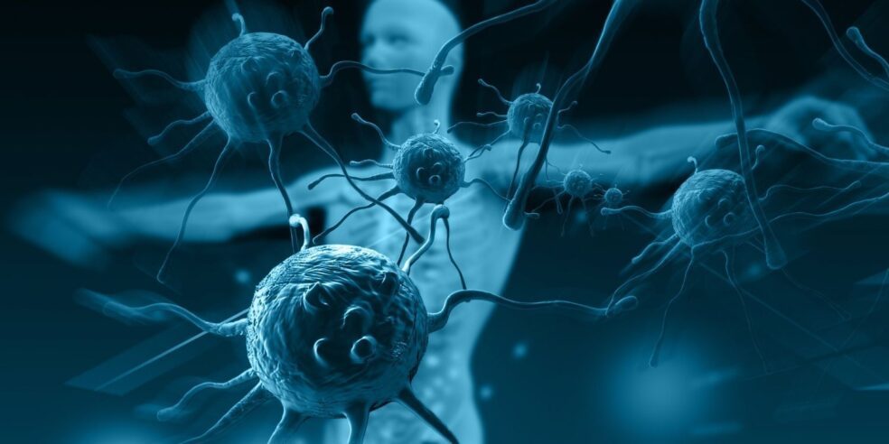 What Is The Immune System? - The Fact Site