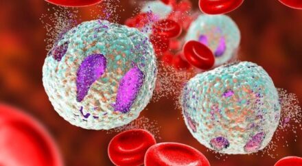 What Is The Immune System? - The Fact Site