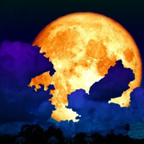 What Is A Snow Moon? - The Fact Site