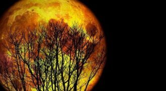 What Is A Worm Moon? - The Fact Site