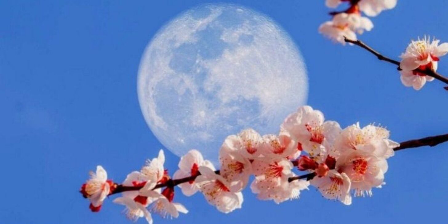 What Is A Flower Moon? - The Fact Site