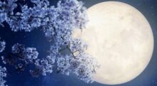 What Is A Flower Moon? - The Fact Site