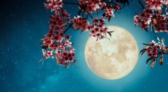 What Is A Flower Moon? - The Fact Site