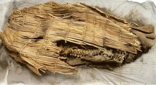 15 Interesting Facts About Nevada - The Fact Site