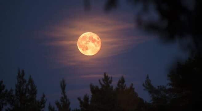 What Is A Pink Moon? - The Fact Site