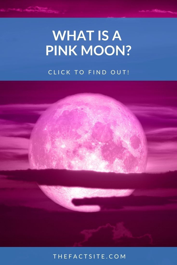 What Is A Pink Moon? - The Fact Site