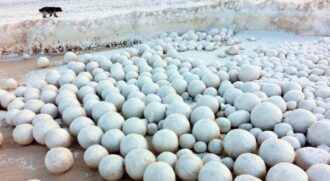 20 Strange Things That Have Washed Ashore - The Fact Site