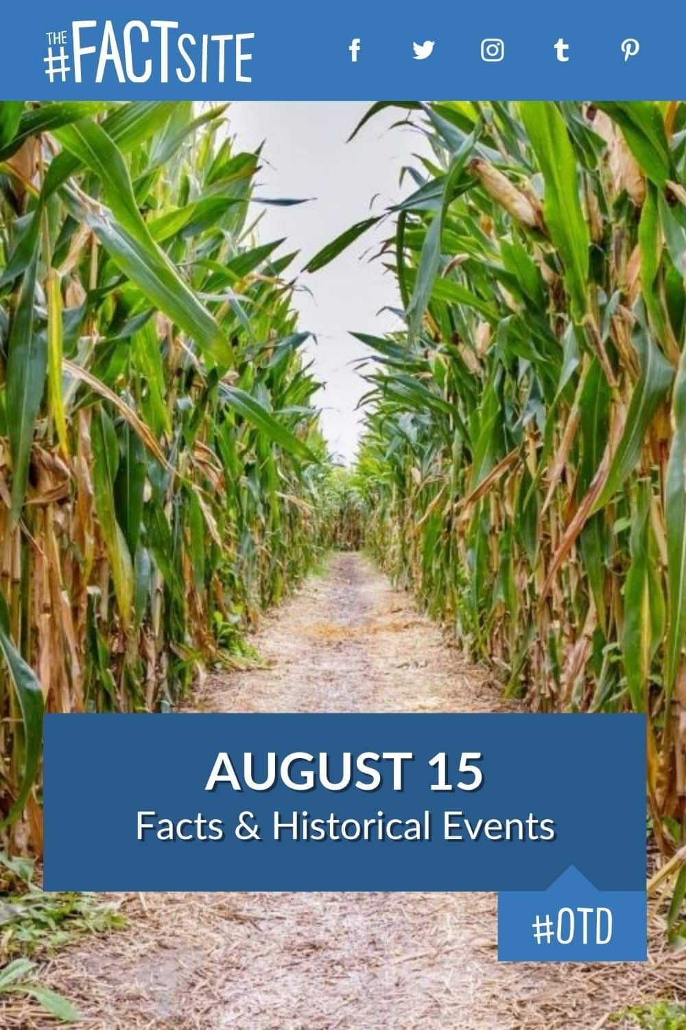 August 15 Facts Historical Events On This Day The Fact Site august-15-facts-historical-events-on-this-day-the-fact-site